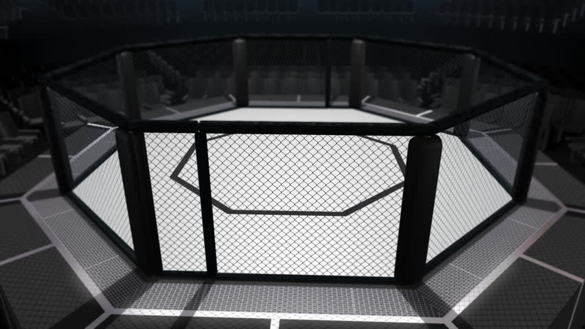 UFC 295 Preview: Pavlovich vs. Aspinall Prediction, Odds, and Picks ...